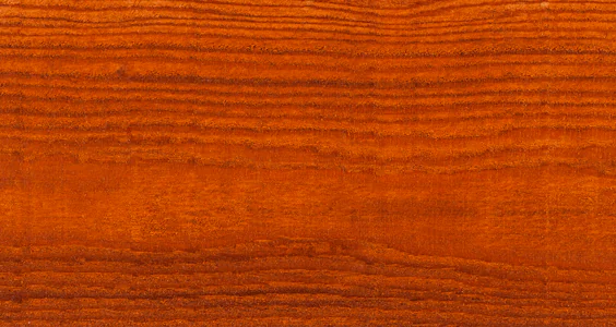 Dryden's Ultimate Guide To Cedar Maintenance in New Zealand