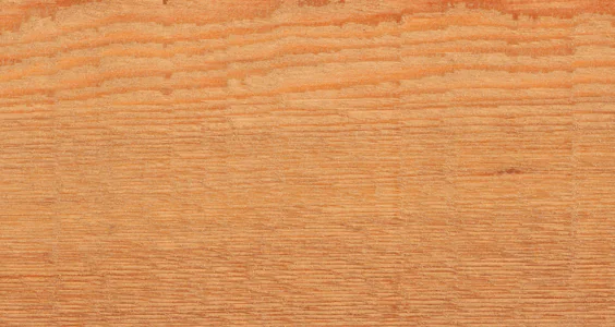 Dryden's Ultimate Guide To Cedar Maintenance in New Zealand