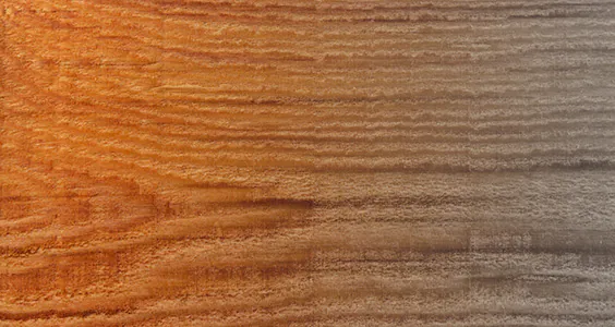 What's My Current Cedar Coating? | Dryden NZ