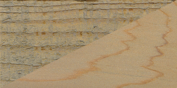 Timber Maintenance Around Your Home - A Dryden Guide